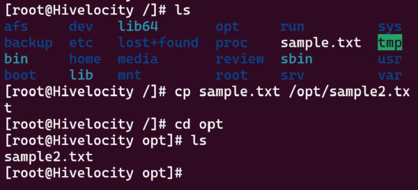 How to Open, Edit, Move, and Copy a File in Linux