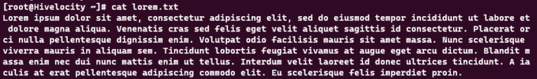 How to Open, Edit, Move, and Copy a File in Linux