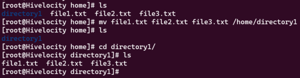 How to Move, Copy, and Rename a Directory in Linux